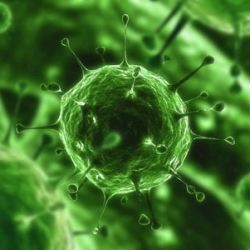 Japan's F-Bomb Anti-Virus Virus... - Byte Chronicles
